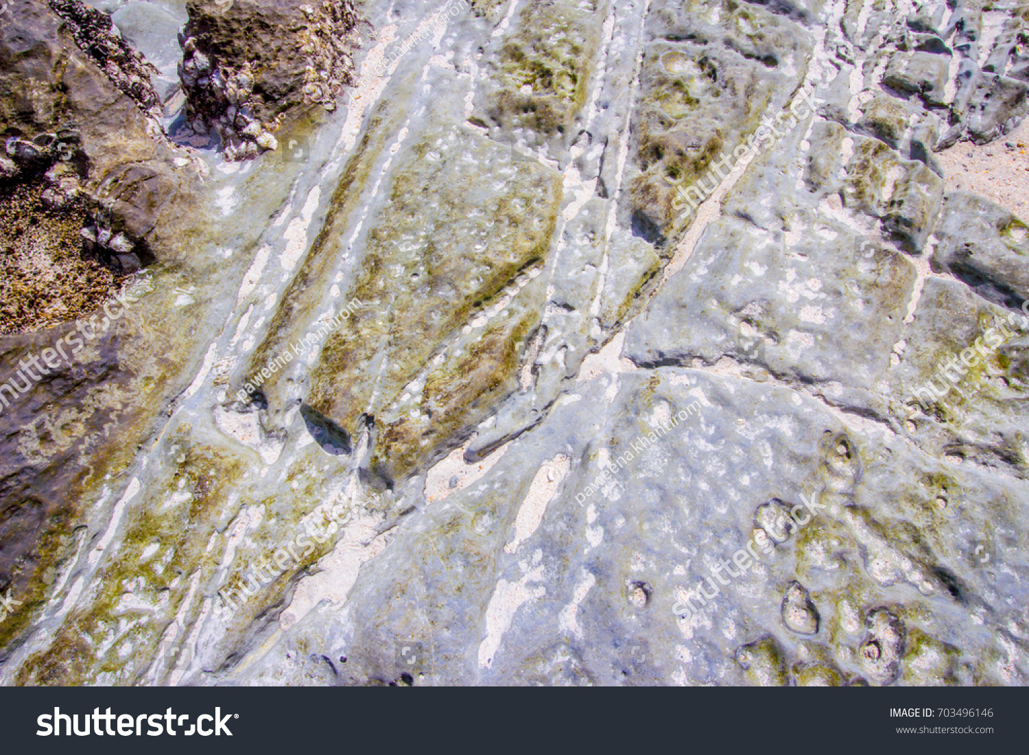Rough Stone Texture Surface Background Stock Photo 703496146 | Shutterstock