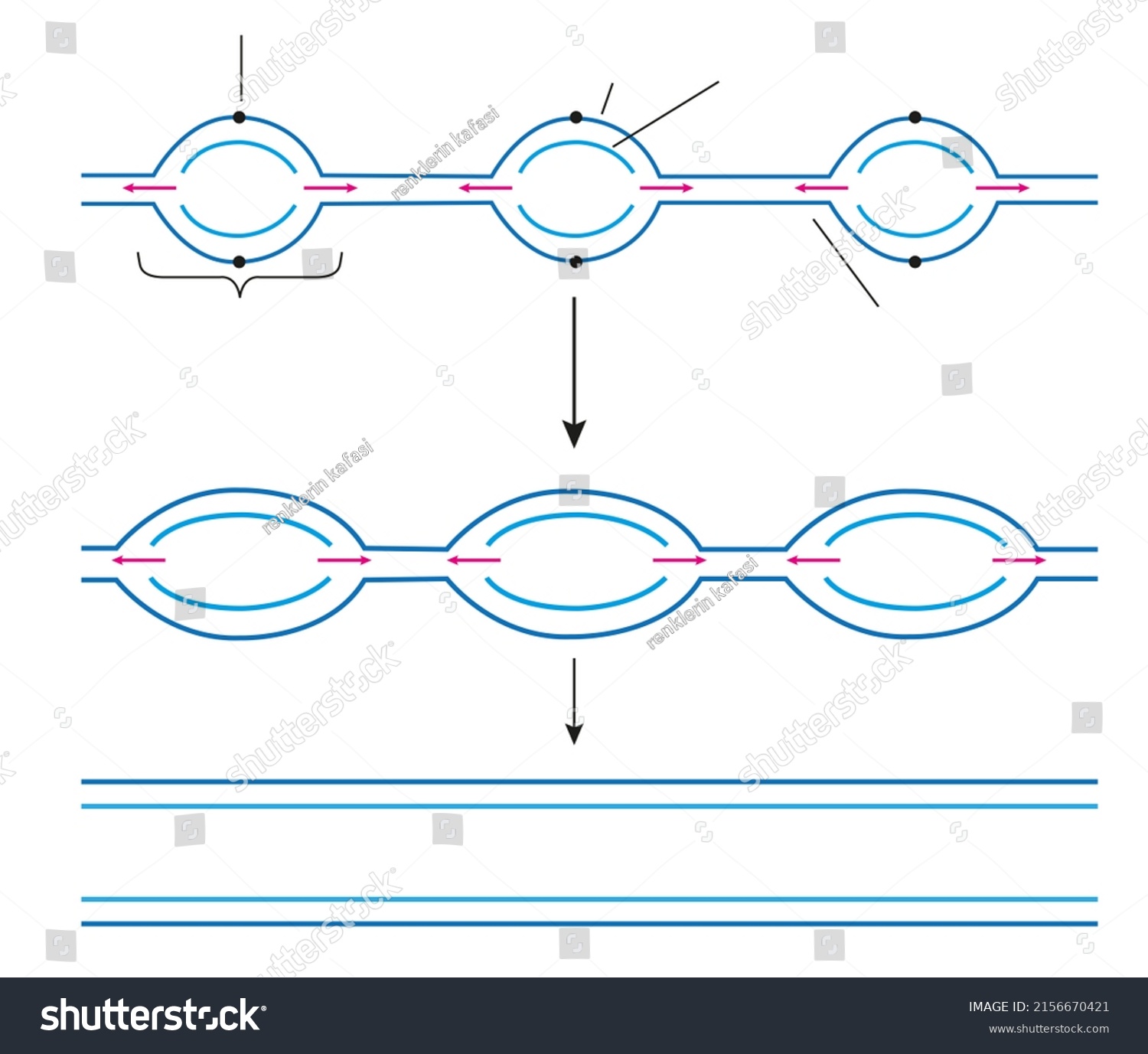 Schematic Drawing Dna Replication Stock Illustration 2156670421 ... Schematic Drawing Dna Replication Stock Illustration 2156670421 ...