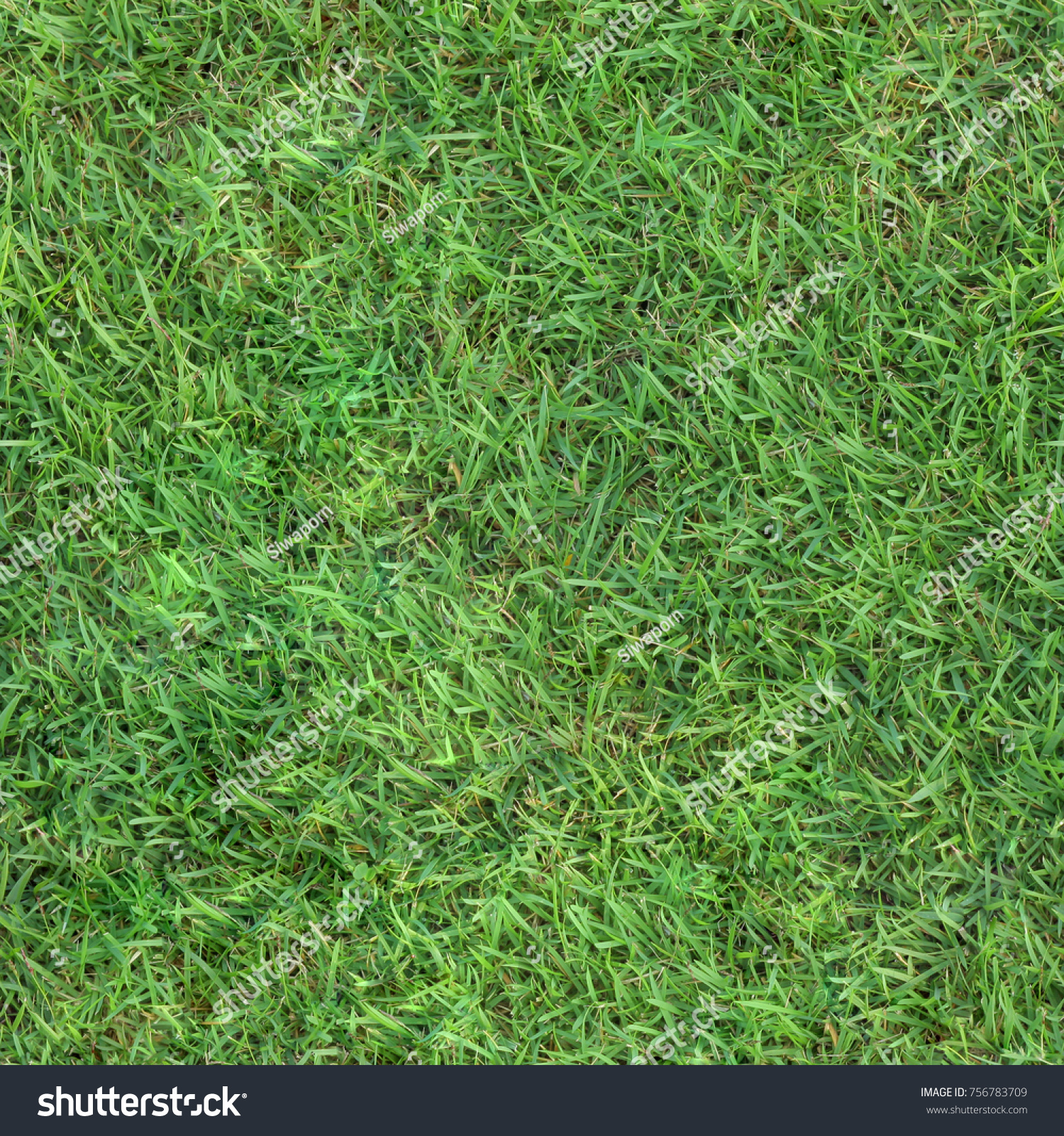 Seamless Grass Texture Tileable Grass Texture Stock Photo (Edit Now) 756783709