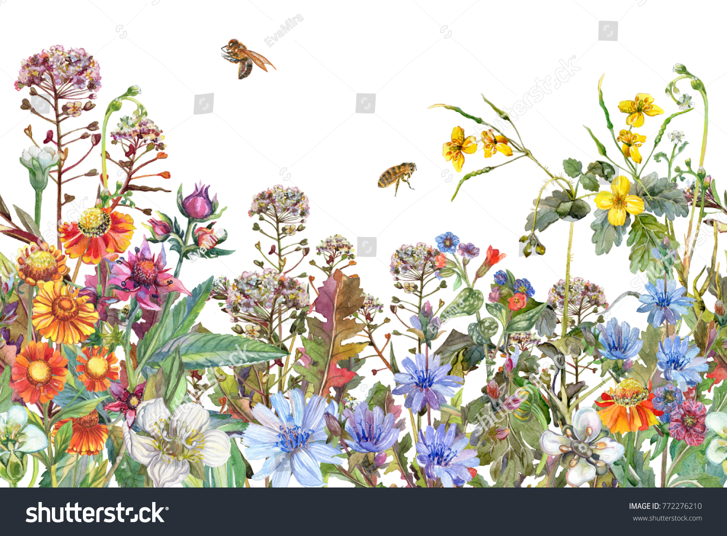 Seamless Rim Border Herbs Wild Flowers Stock Illustration 772276210 ... Seamless Rim Border Herbs Wild Flowers Stock Illustration 772276210 ...