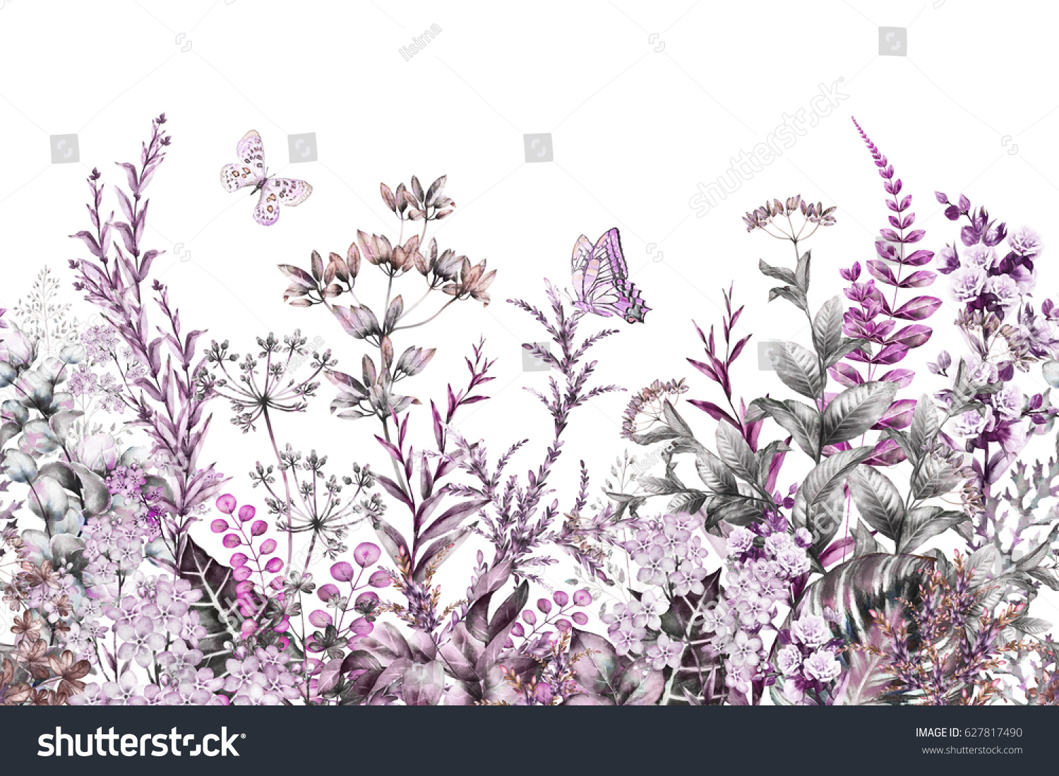 Seamless Rim Border Herbs Wild Flowers Stock Illustration 627817490 ... Seamless Rim Border Herbs Wild Flowers Stock Illustration 627817490 ...