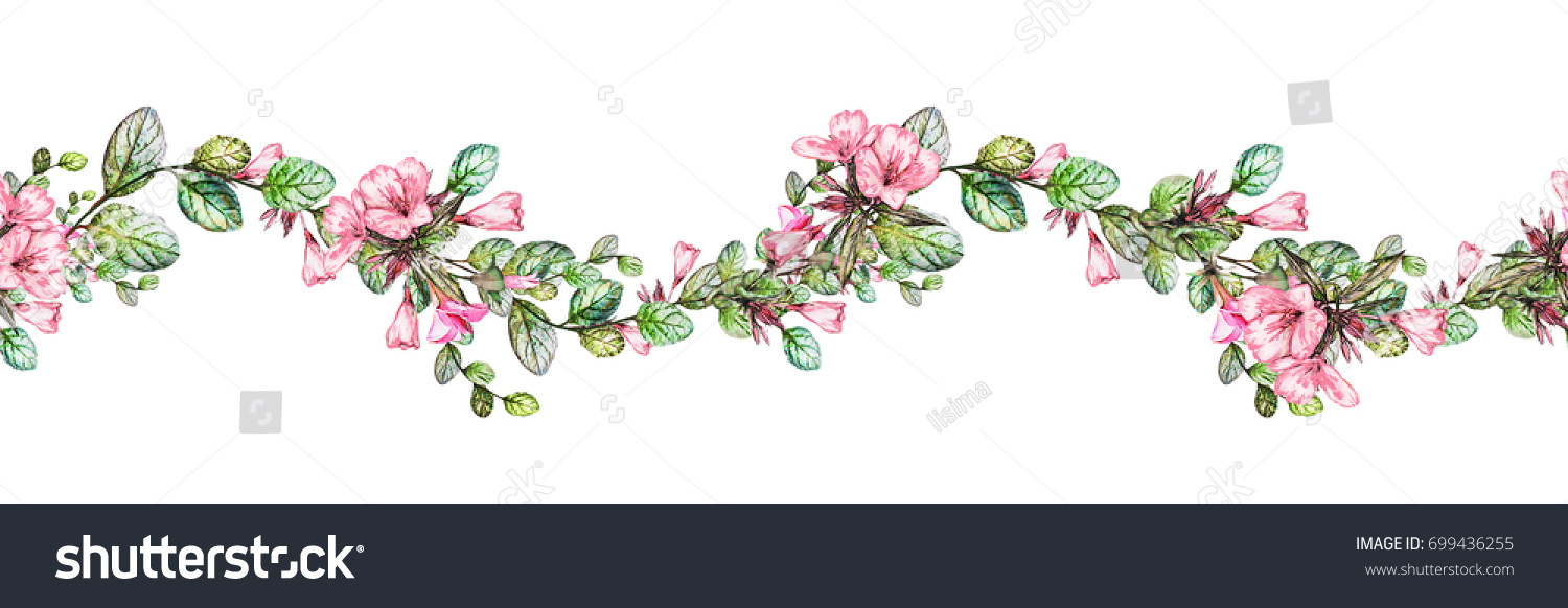 Seamless Rim Border Herbs Wild Flowers Stock Illustration 699436255 ... Seamless Rim Border Herbs Wild Flowers Stock Illustration 699436255 ...