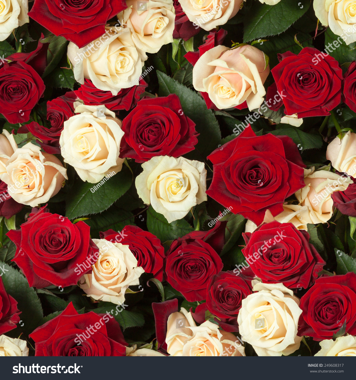 Seamless Roses Background Stock Photo 249608317 | Shutterstock