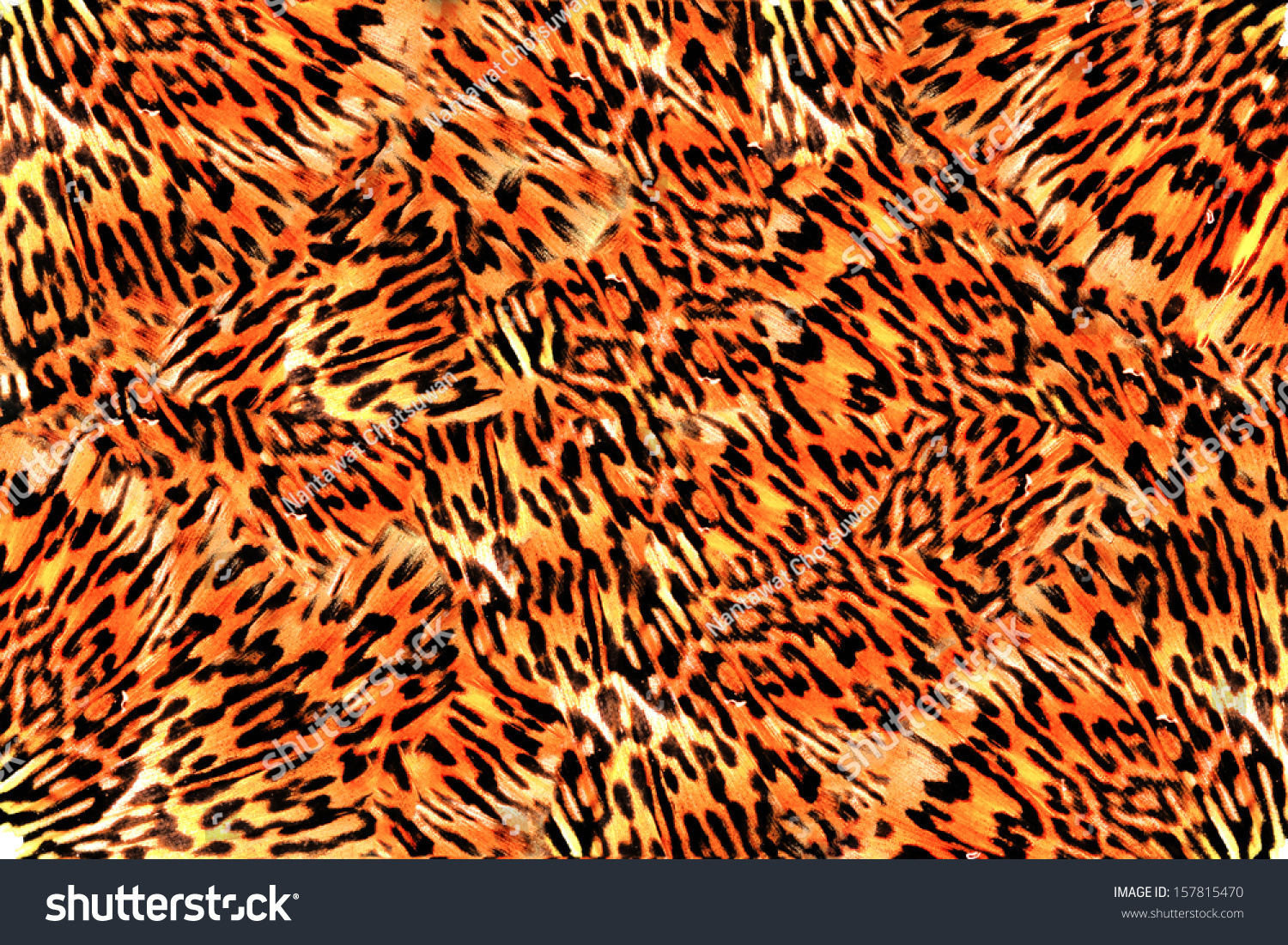 Seamless Tiger Pattern Background Stock Photo 157815470 | Shutterstock