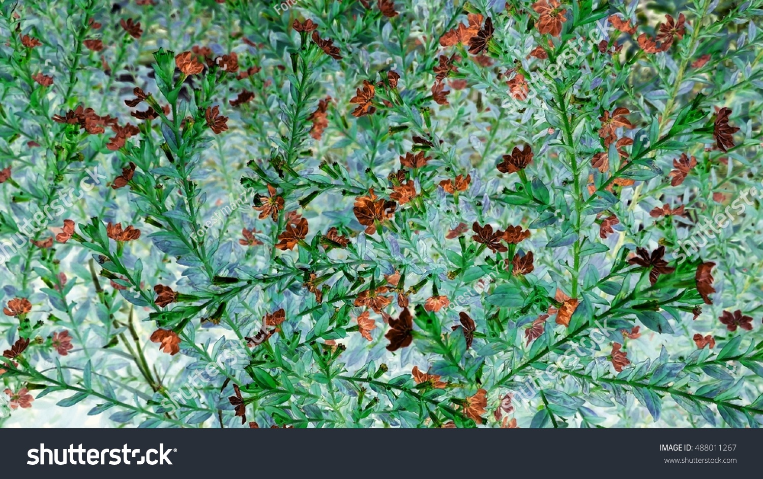 Seamless Vivid Pattern Background Stock Photo 488011267 | Shutterstock