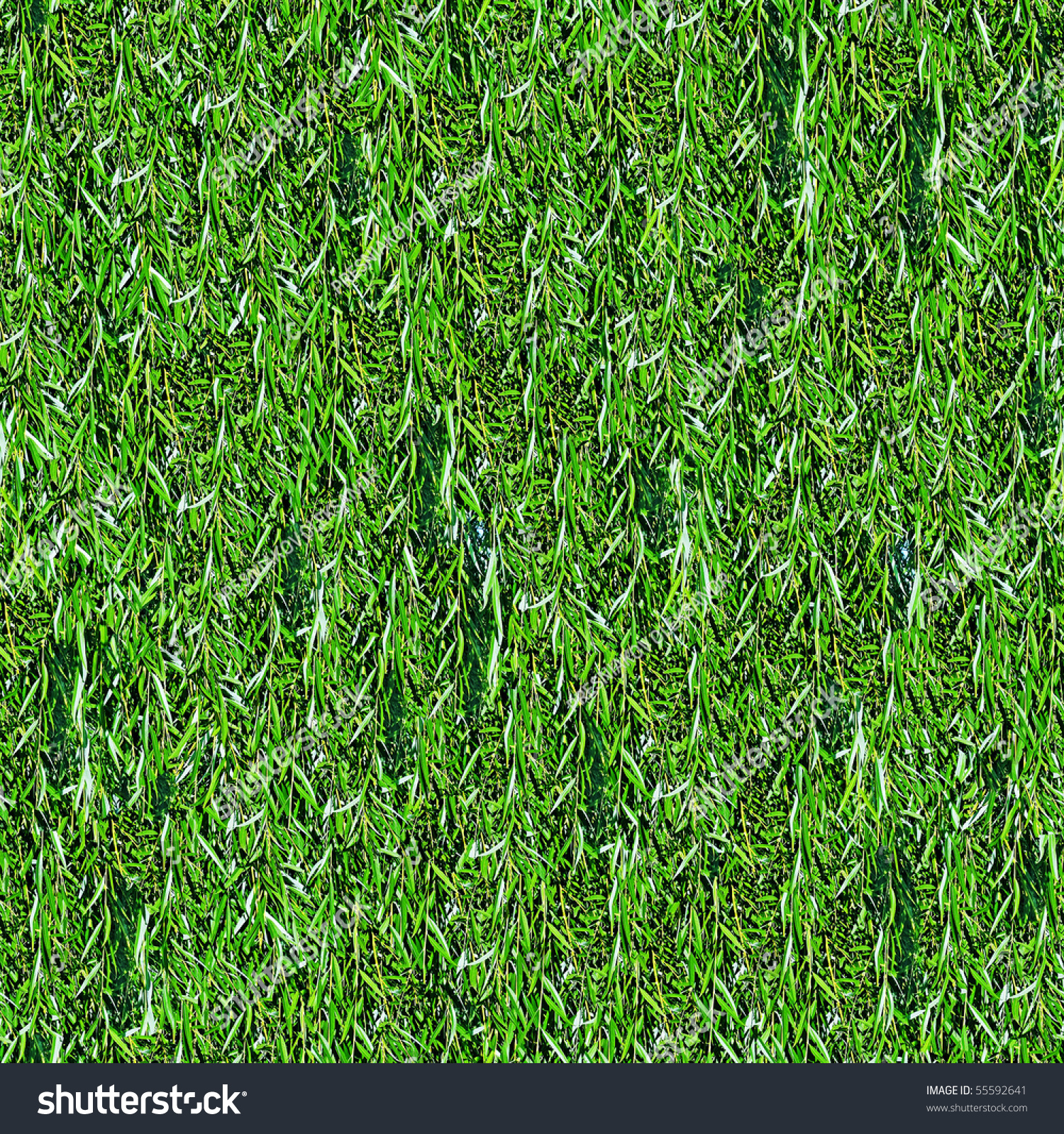 Seamless Weeping Willow Background Seamless Pattern Foto Stok 55592641 ...