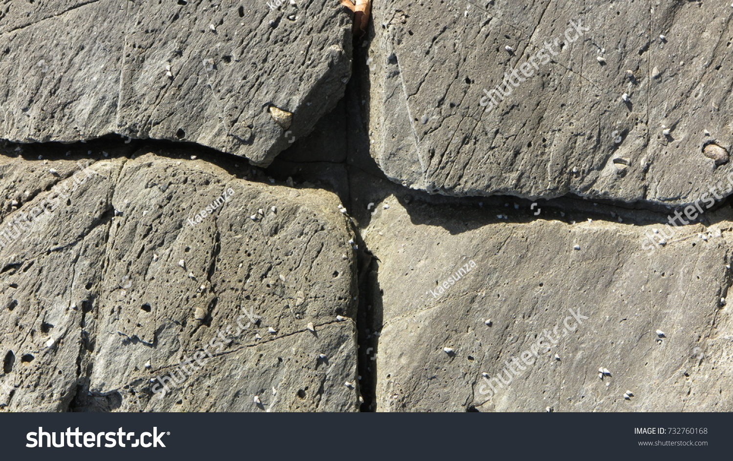 Sedimentary Rock Pattern Texture Stock Photo 732760168 | Shutterstock