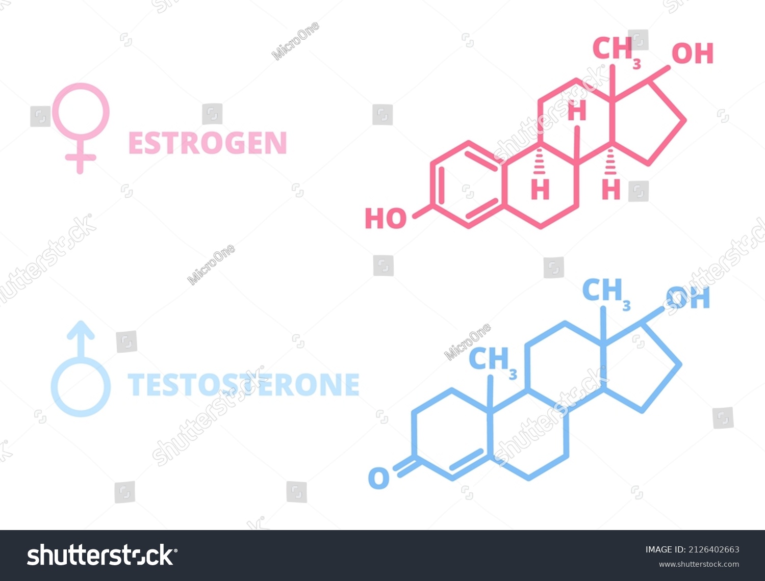 Sex Hormones Laboratory Symbol Hormone Estrogen Stock Illustration