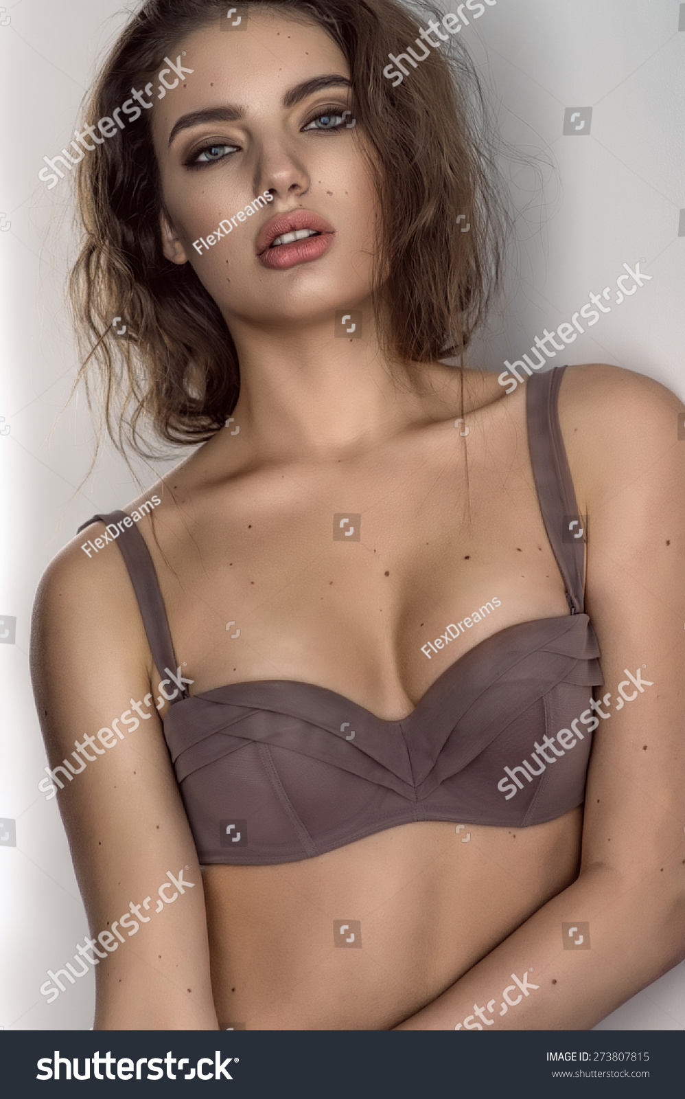 Sexy Beautiful Brunette Girl Bra库存照片273807815 Shutterstock