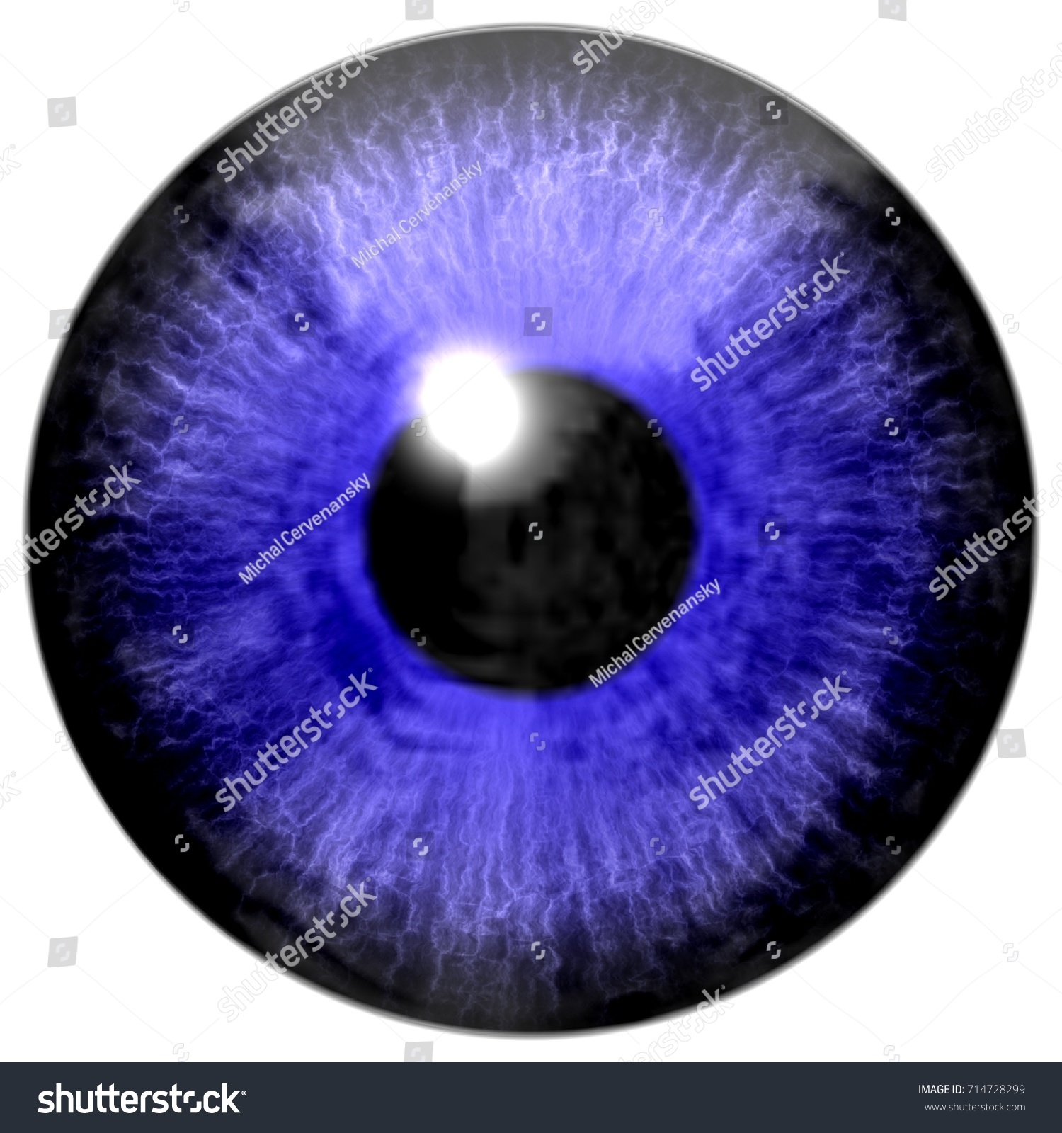Sharp Attractive Deep Eye Texture Stock Photo 714728299 | Shutterstock