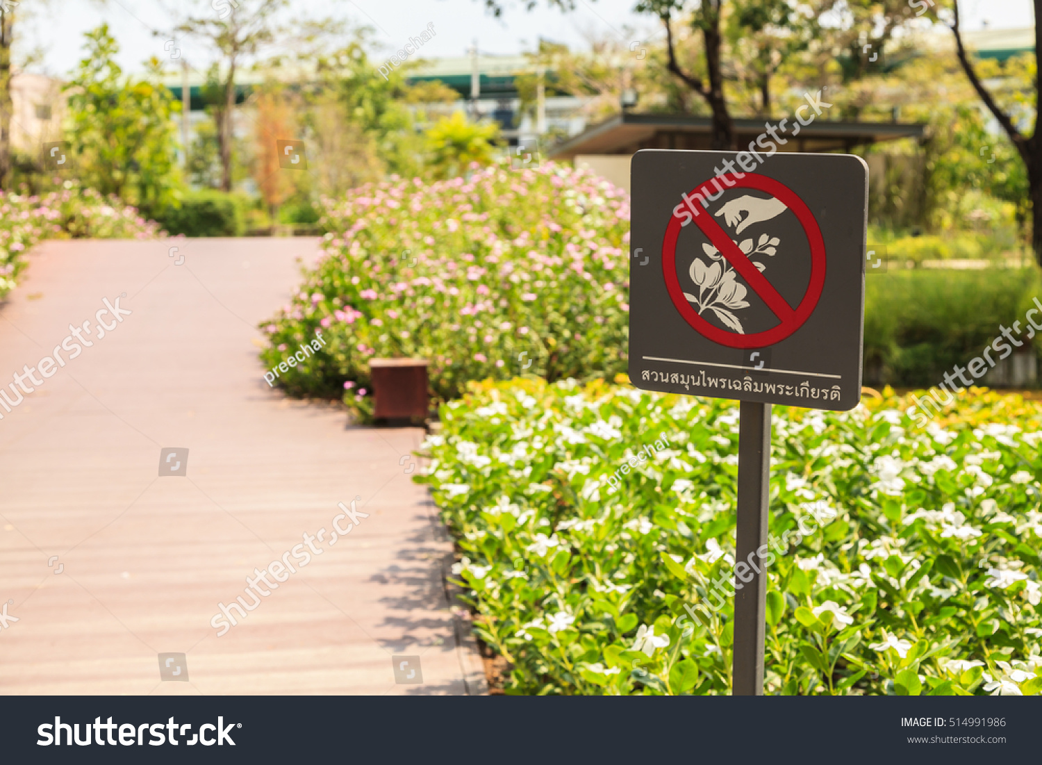 Sign Garden Cautioning Not Pluck Flowers Stock Photo 514991986 ... Sign Garden Cautioning Not Pluck Flowers Stock Photo 514991986 ...
