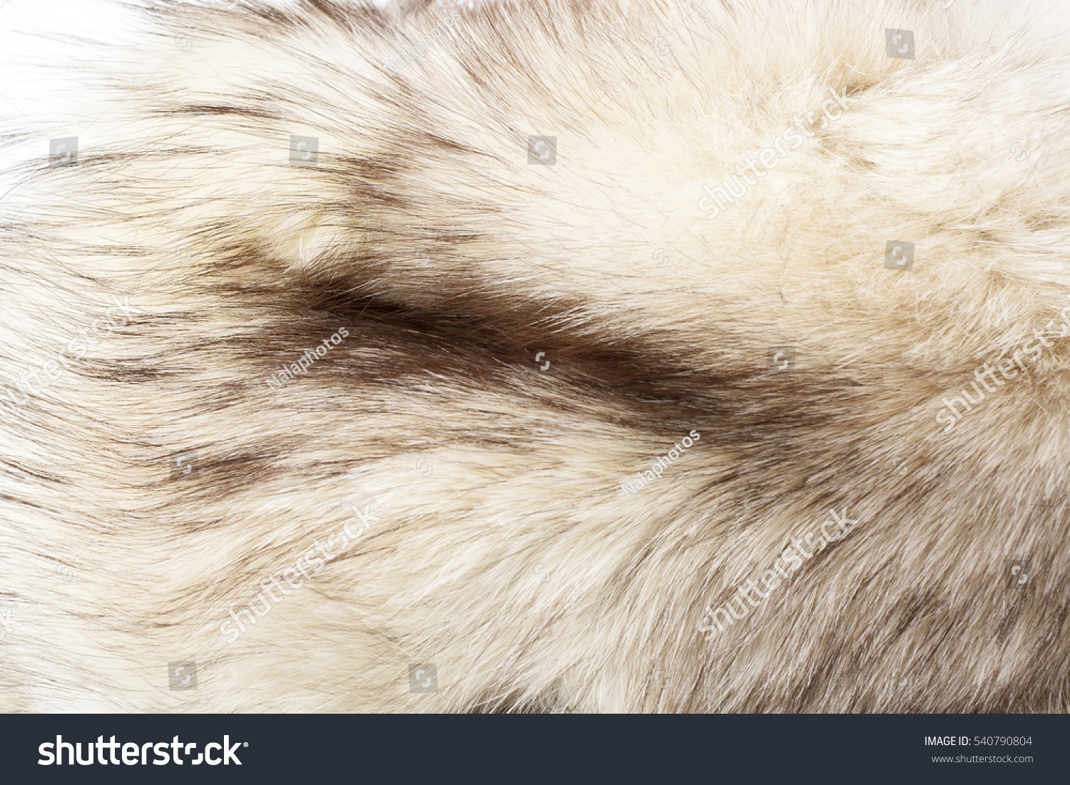 Silver Fox Fur Texture Stock Photo 540790804 | Shutterstock