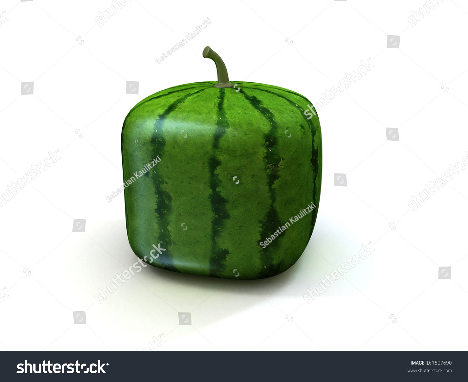 Single Square Melon Stock Illustration 1507690 | Shutterstock