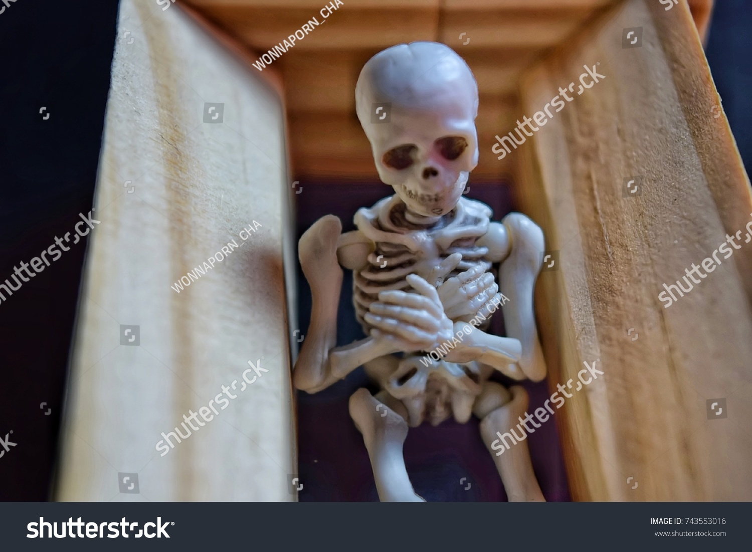 Skeleton Stock Photo 743553016 | Shutterstock