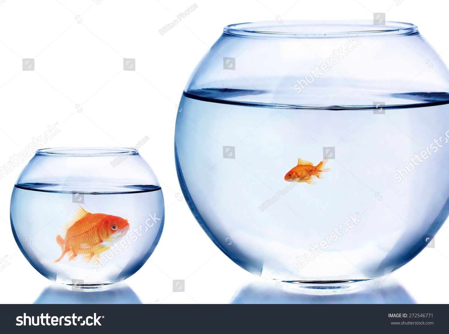 Small Large Comparison Stock Photo 272546771 | Shutterstock