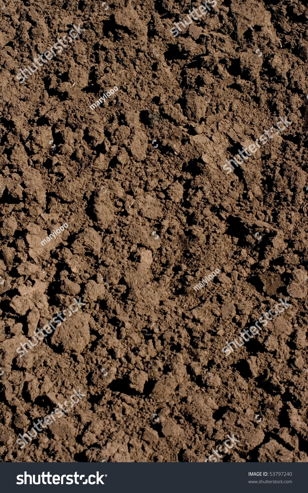 Soil Background Stock Photo 53797240 : Shutterstock