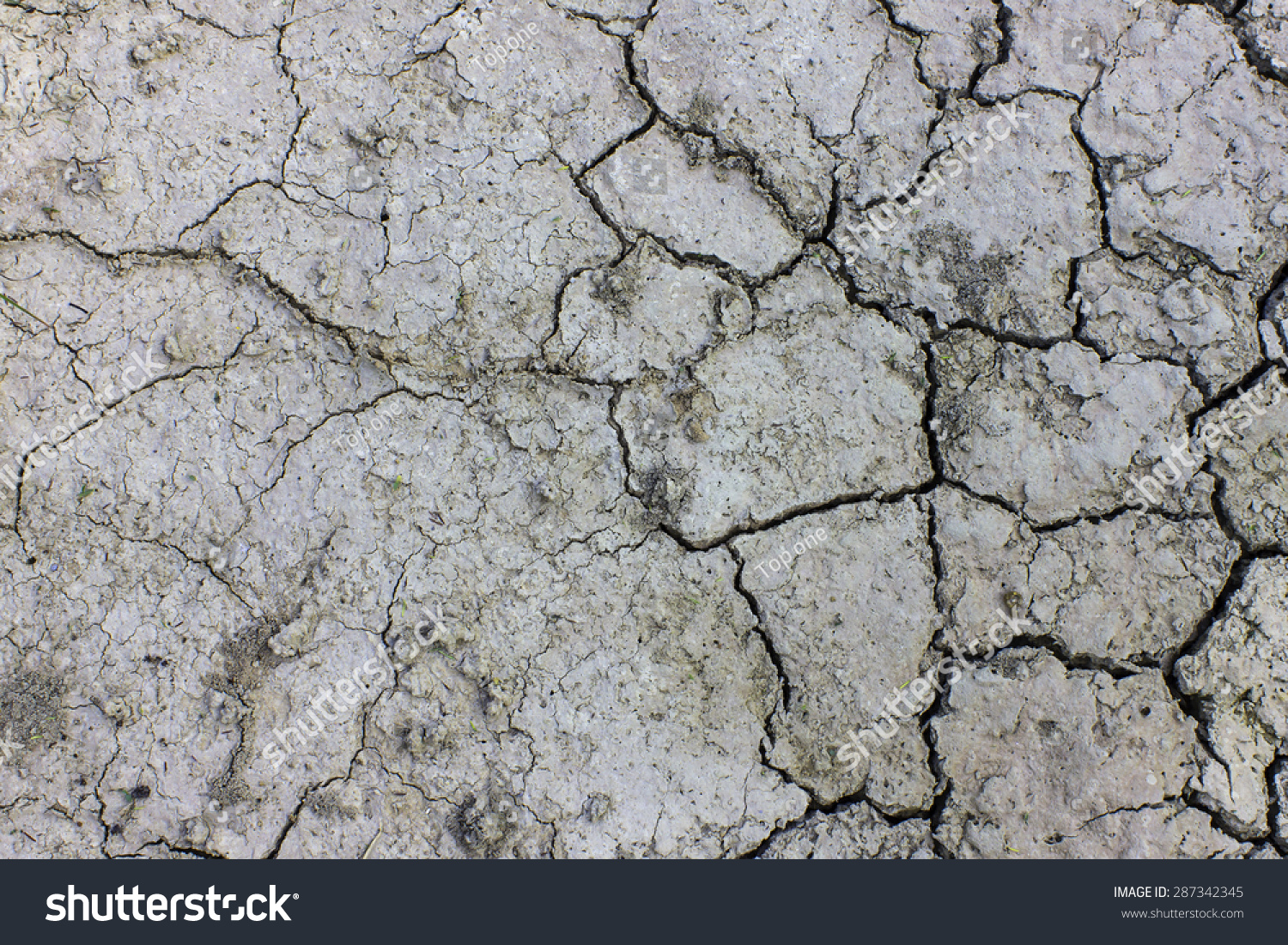 Soil Background Texture Pattern Cracked Stock Photo 287342345 ...