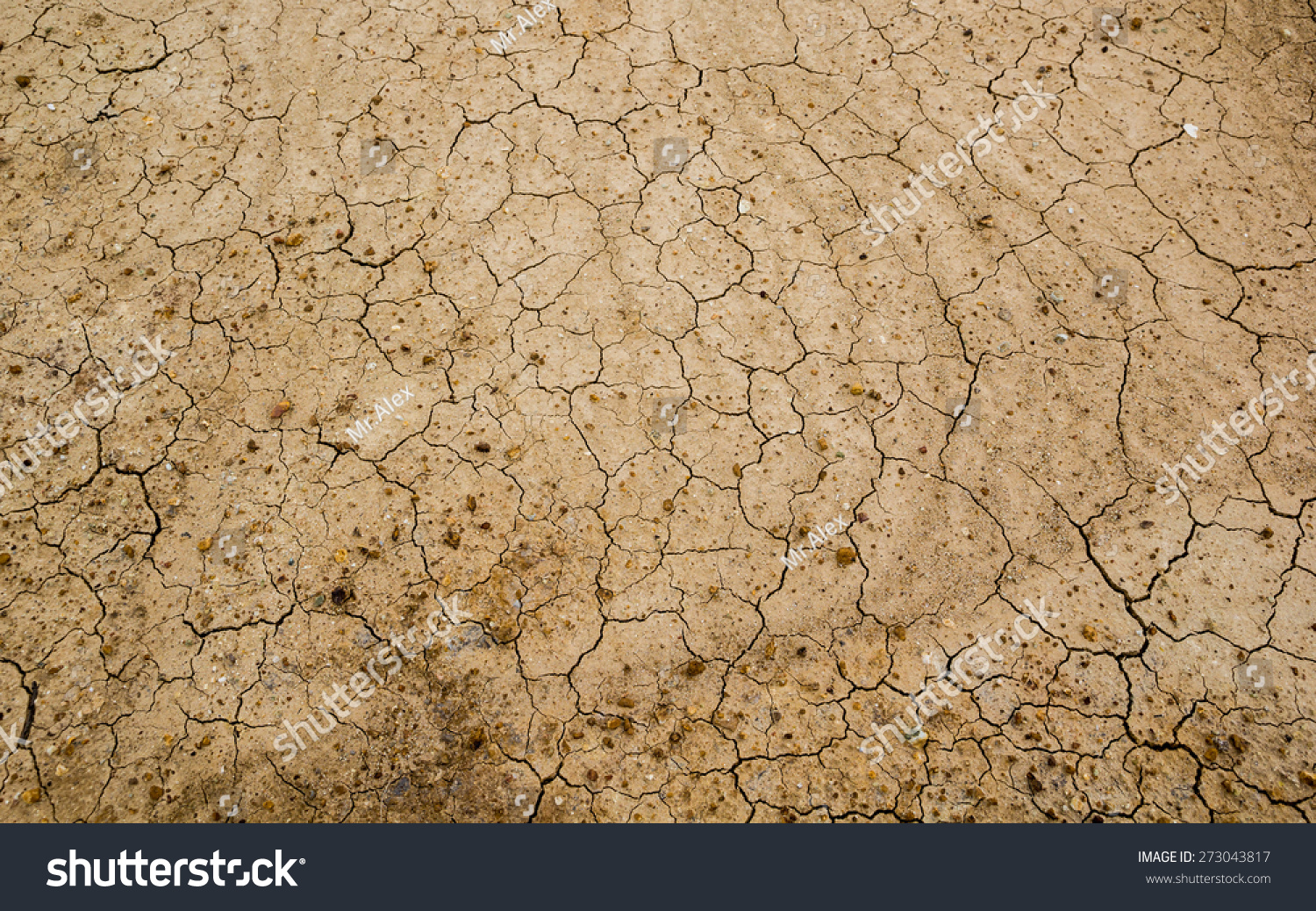 Soil Texture Stock Photo 273043817 | Shutterstock