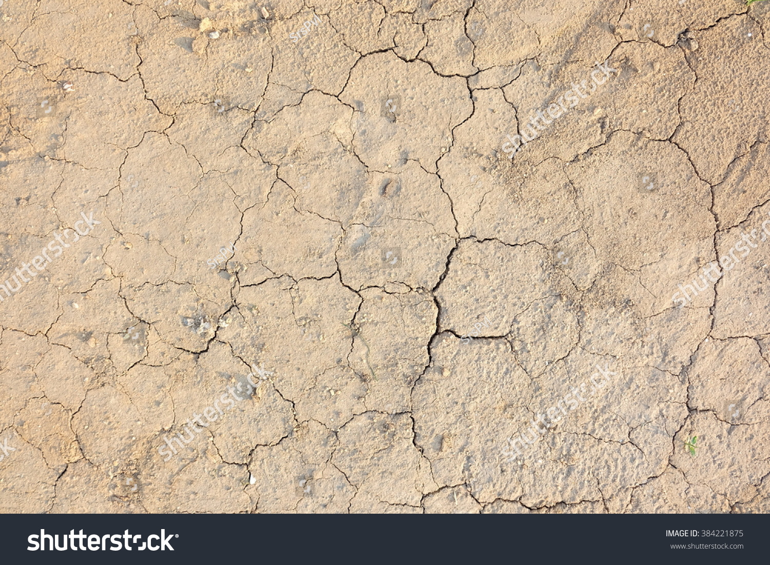 Soil Texture Stock Photo 384221875 | Shutterstock
