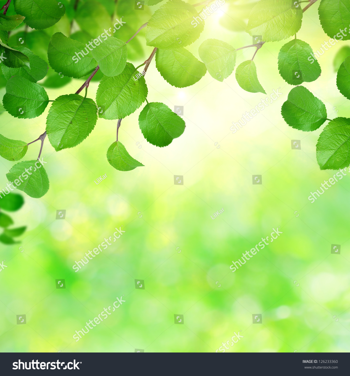 Spring Background Stock Photo 126233360 | Shutterstock