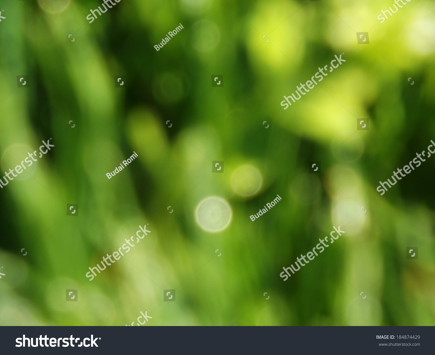 Spring Bokeh Lights Background Stock Photo 184874429 | Shutterstock