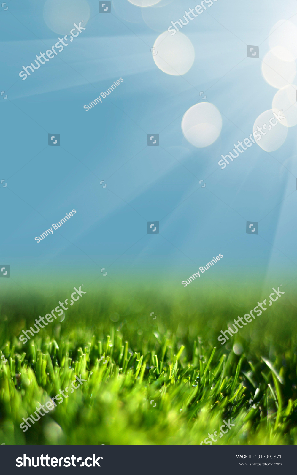Spring Grass Background Stock Photo 1017999871 | Shutterstock
