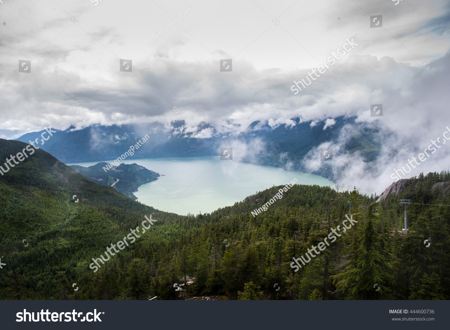 Squeamish Stockfoto 444600736 - Shutterstock
