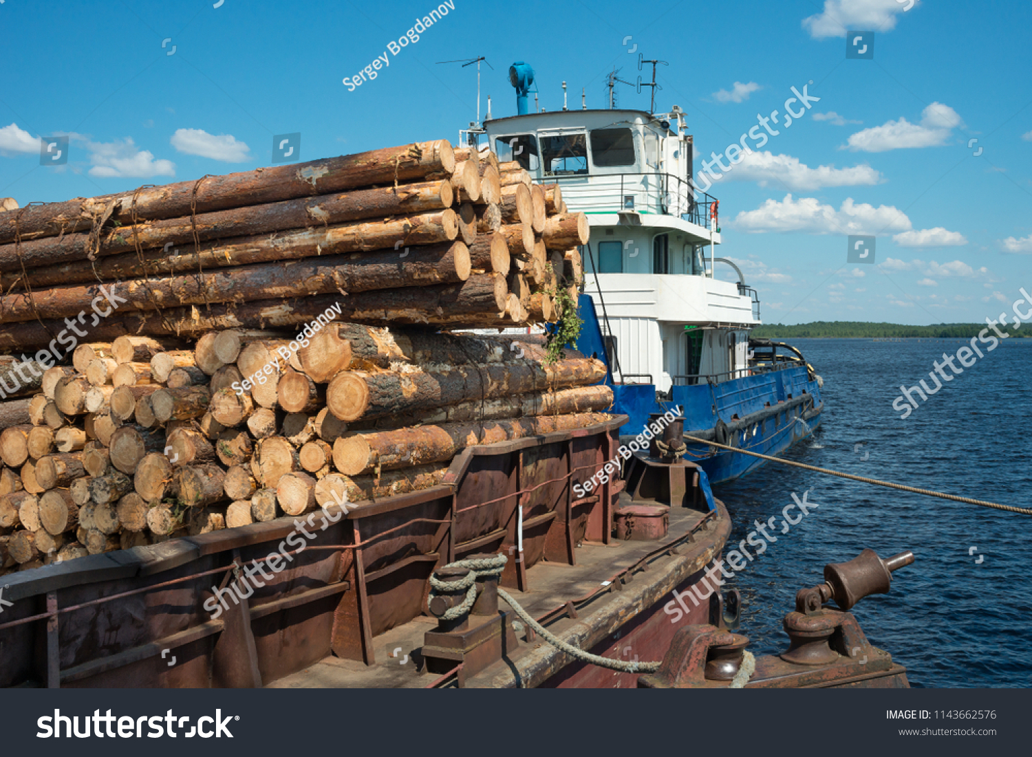 Stack Wooden Logs Ready Transport Logging Stock Photo 1143662576 ... Stack Wooden Logs Ready Transport Logging Stock Photo 1143662576 ...