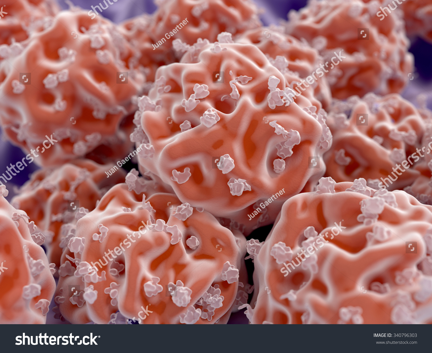 1,057 Fetal cell Images, Stock Photos & Vectors | Shutterstock