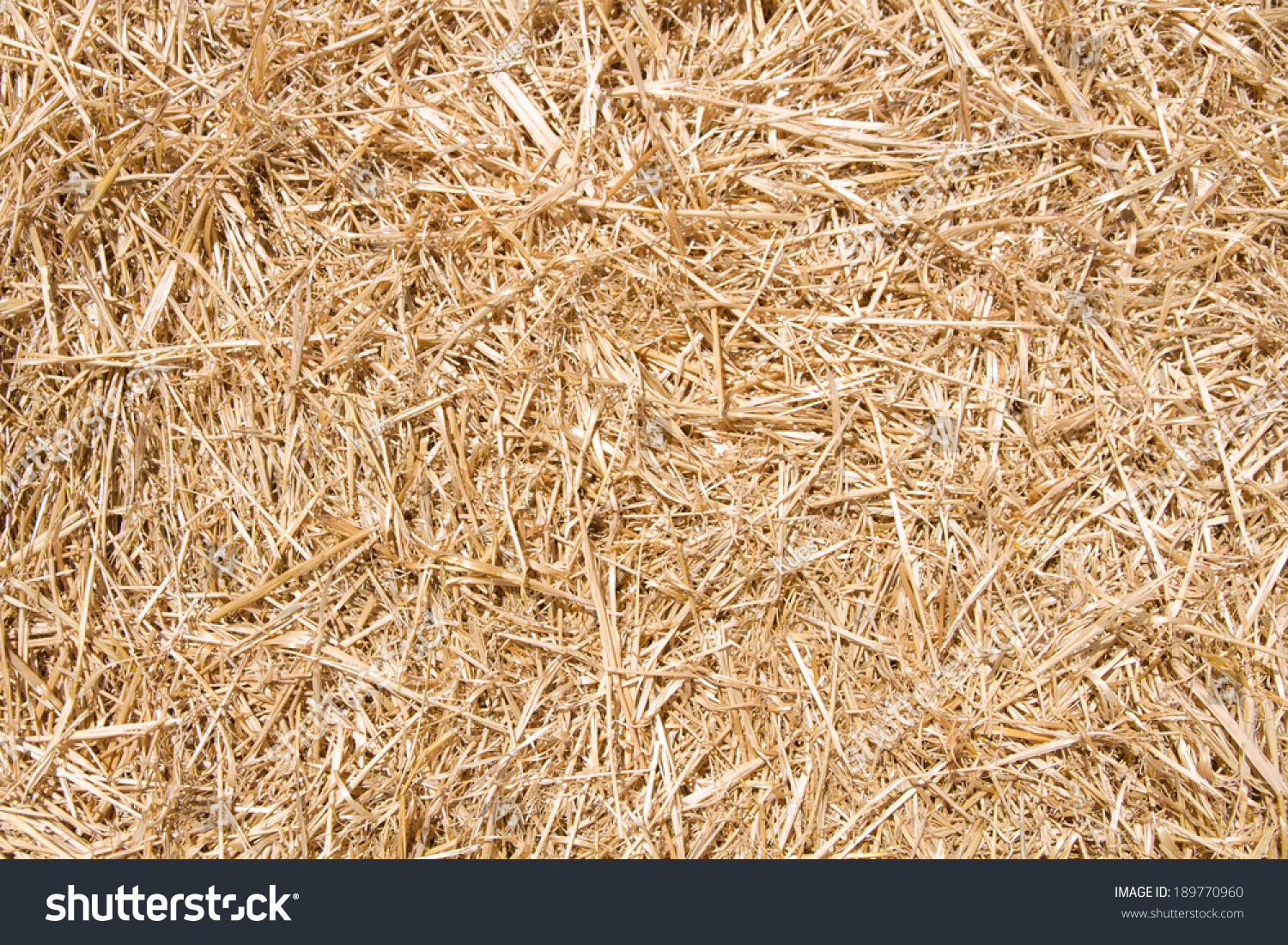 Straw Texture Stock Photo 189770960 : Shutterstock