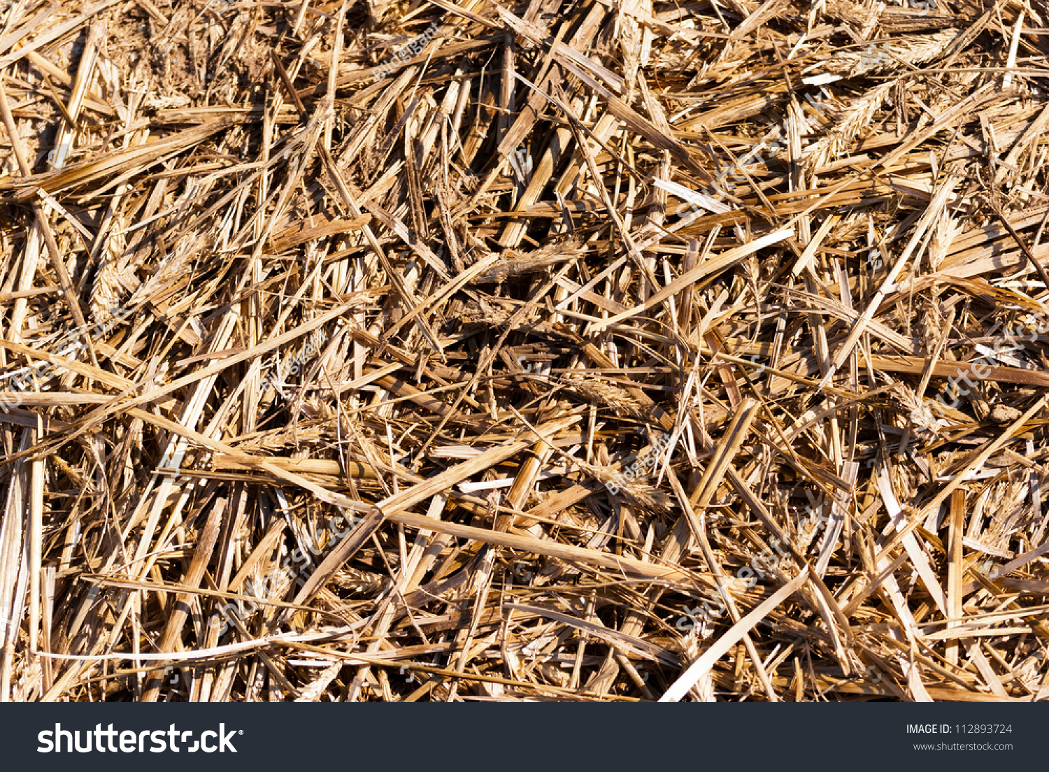 Straw Texture Background Stock Photo 112893724 | Shutterstock