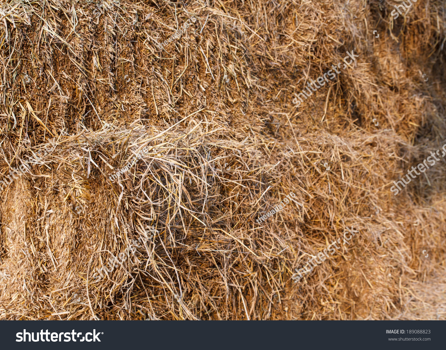 Straw Texture Background Stock Photo (Edit Now) 189088823