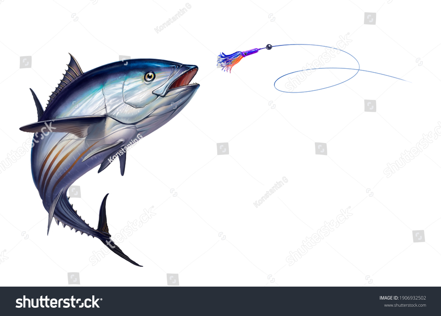 Striped Tuna Fish Skipjack Tuna Attacks: ภาพประกอบสต็อก 1906932502 Striped Tuna Fish Skipjack Tuna Attacks: ภาพประกอบสต็อก 1906932502