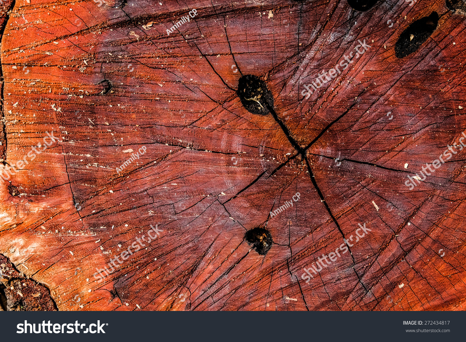 Stud Tree Stock Photo (Edit Now) 272434817
