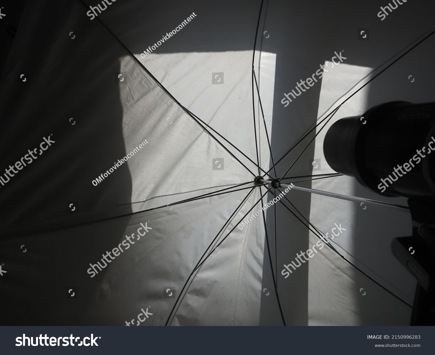 Studio Flash Diffuser Umbrella Stock Photo 2150996283 | Shutterstock