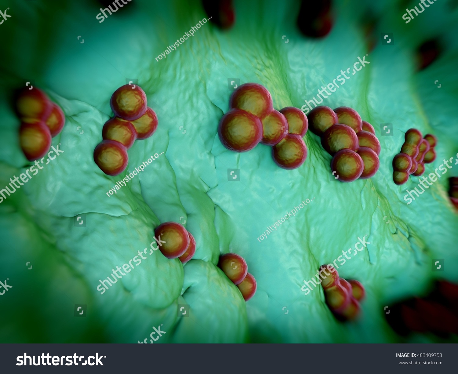 Superbug Staphylococcus Aureus Mrsa Bacteria 3d Stock Illustration ...