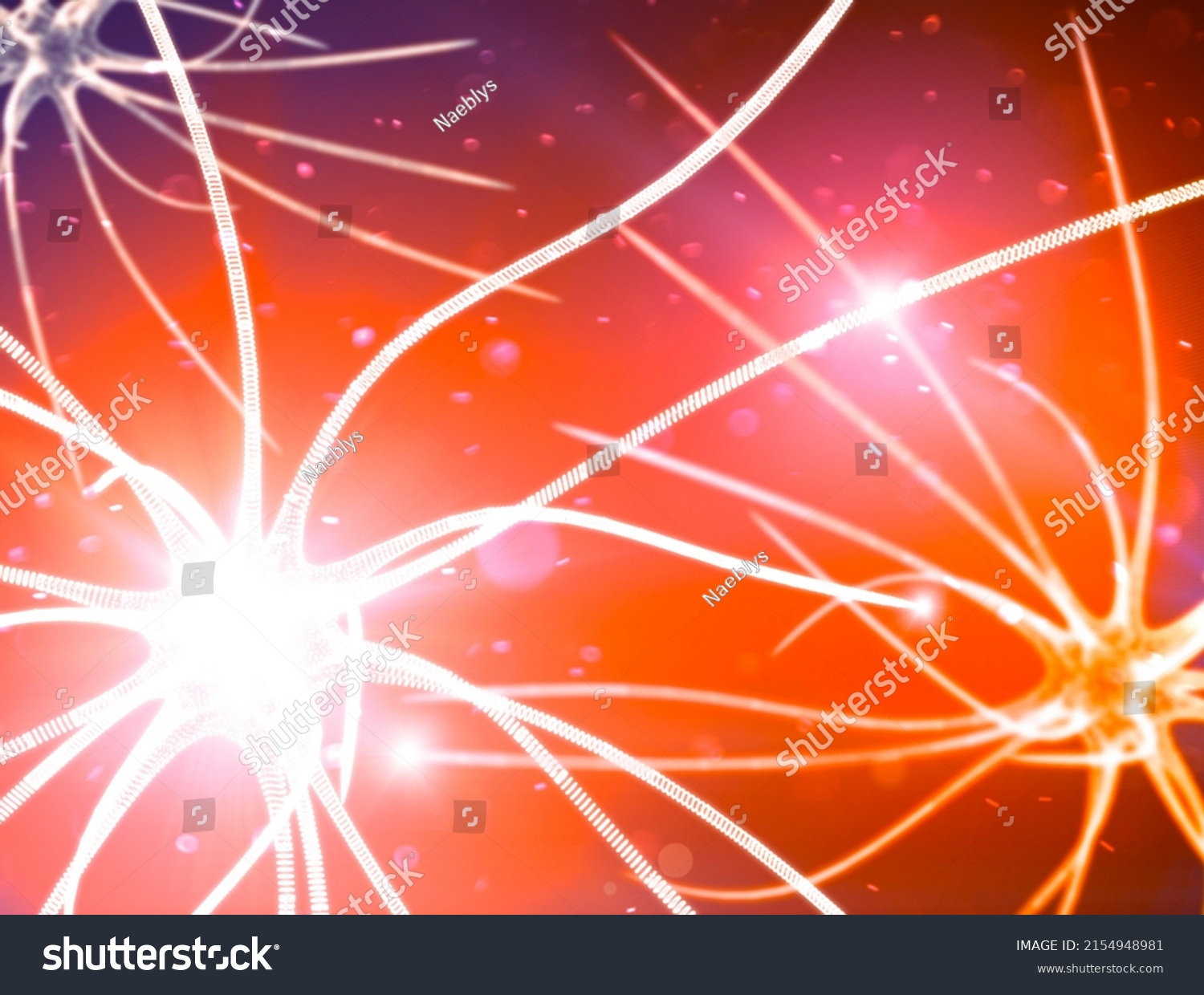 시냅스 연결 뉴런(또는 신경 세포)이 다른 스톡 일러스트 2154948981 | Shutterstock 시냅스 연결 뉴런(또는 신경 세포)이 다른 스톡 일러스트 2154948981 | Shutterstock