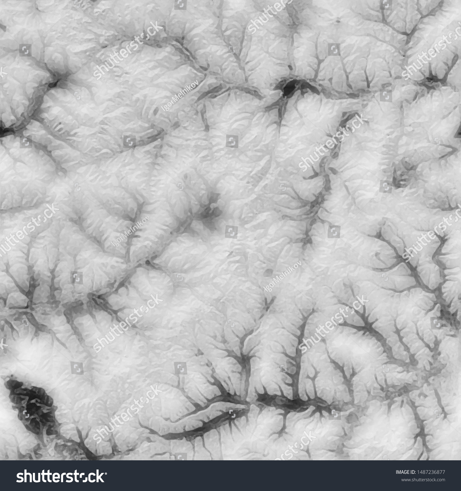 Terrain Map Bump Texture Render 3d 스톡 일러스트 1487236877 | Shutterstock