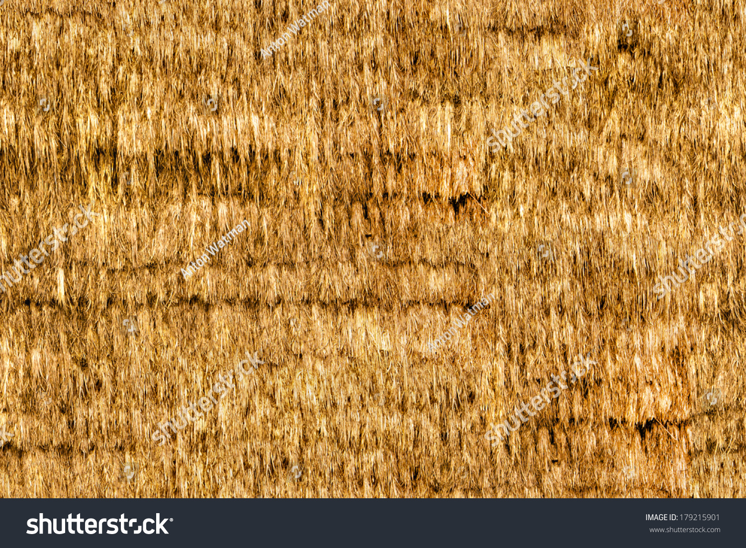 Thatch Seamless Texture Stock Photo (Edit Now) 179215901