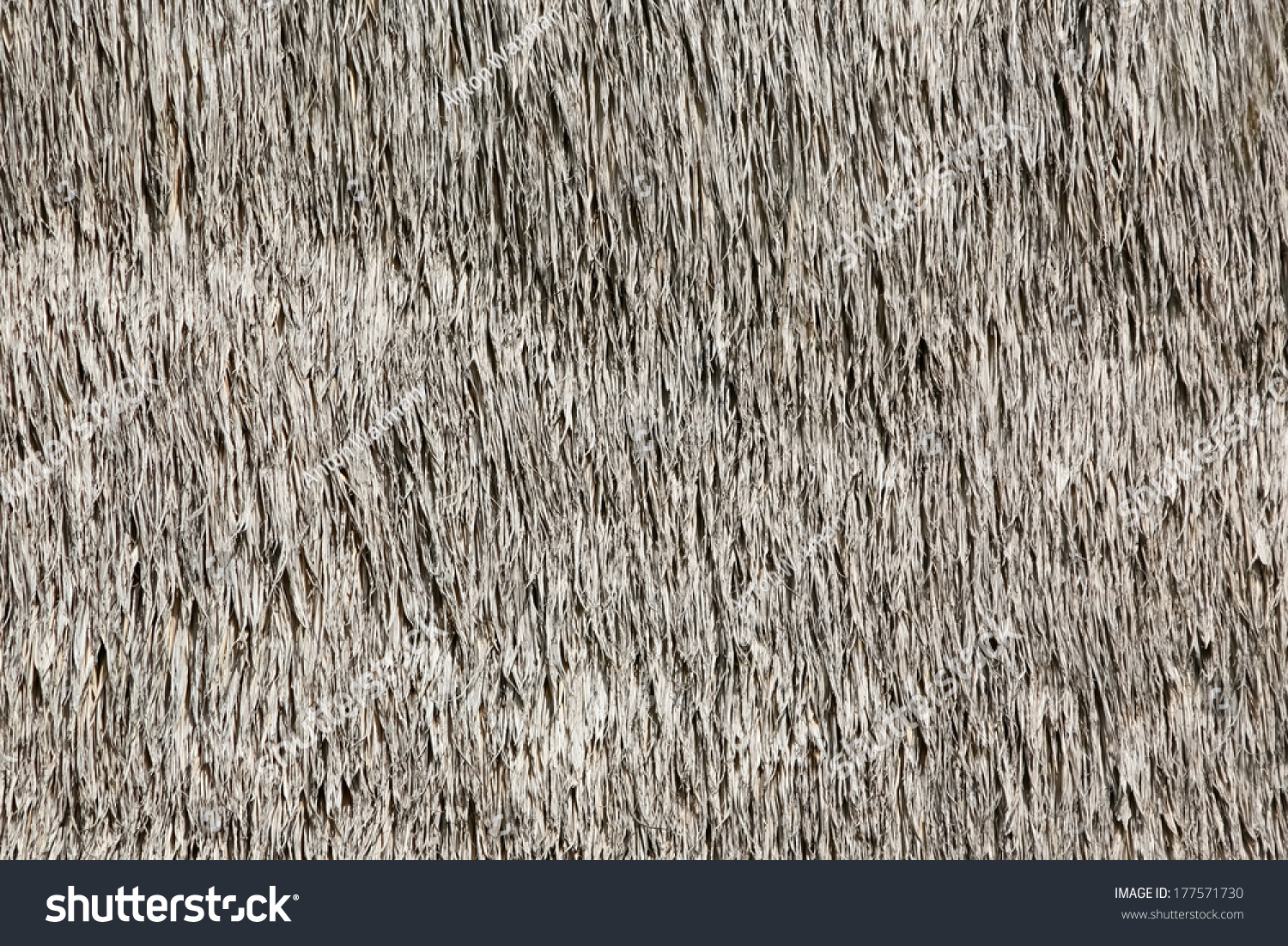 Free Texture 6 Thatch