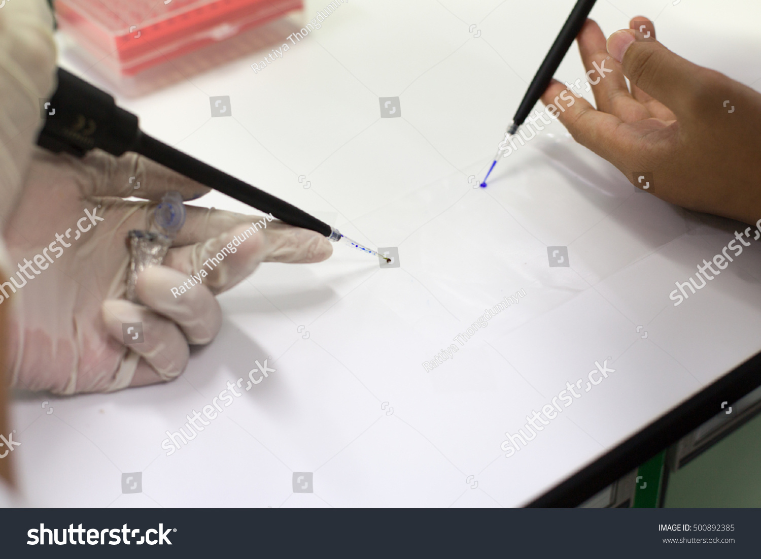 Dna Testing Dna Extraction Lab Stock Photo (Edit Now) 500892385