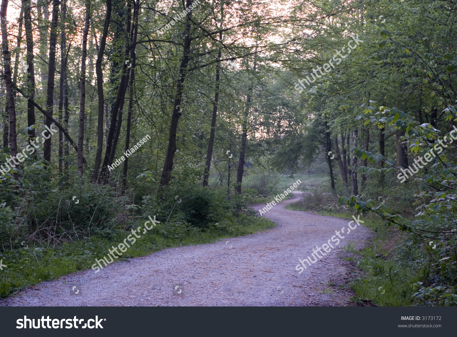 Future Path