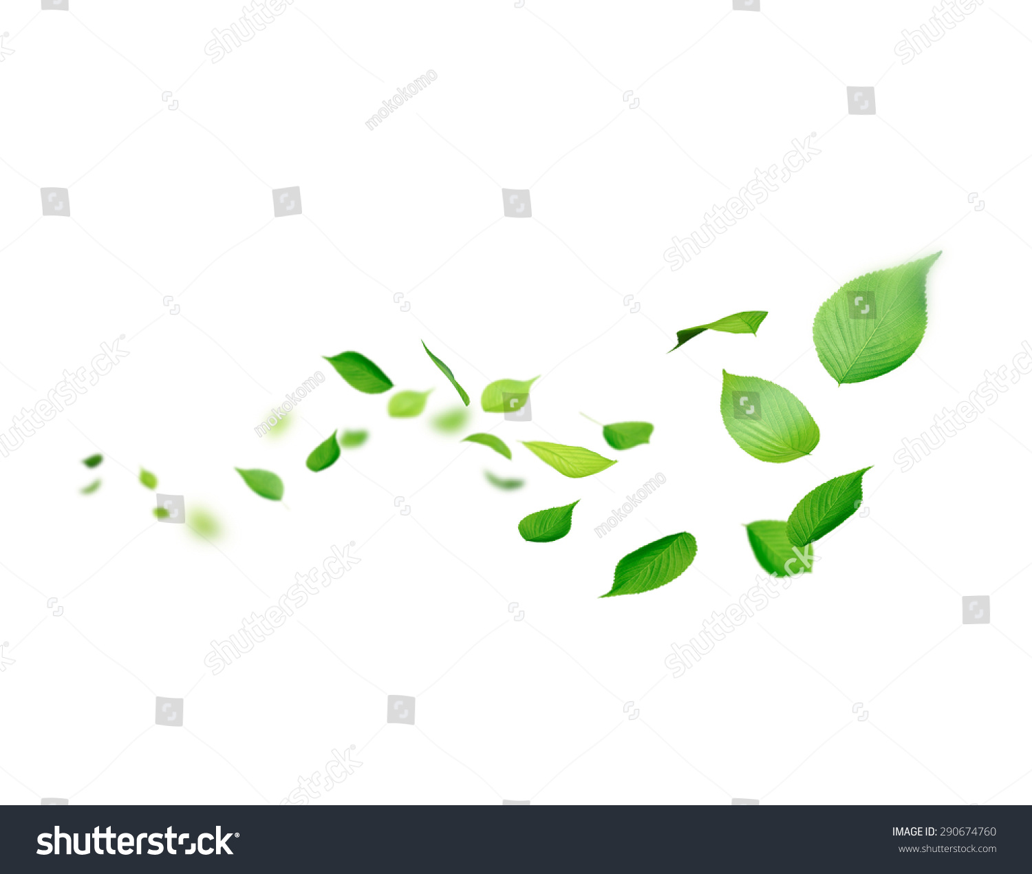 Leaf Flows 스톡 일러스트 290674760 | Shutterstock
