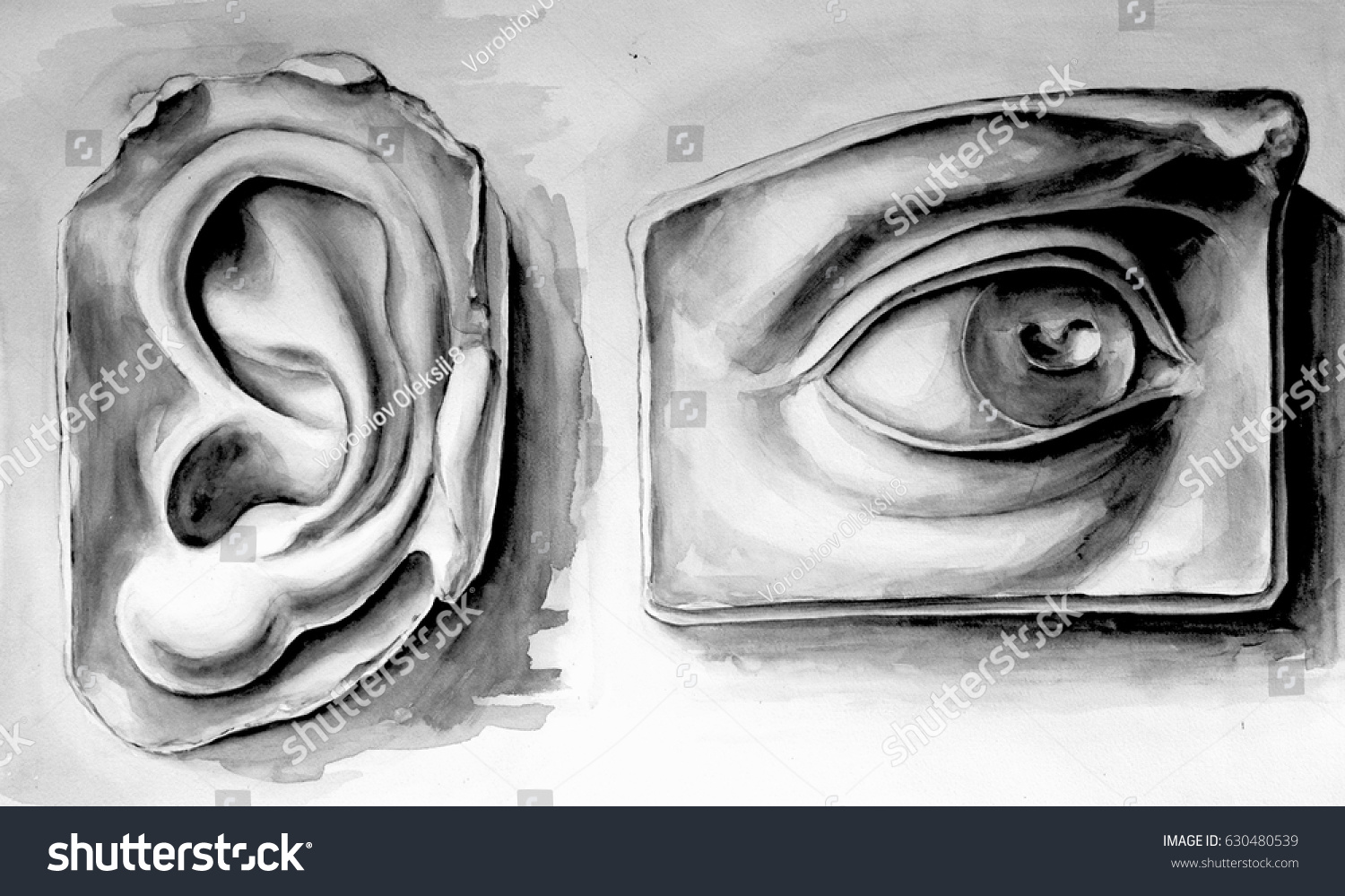 Parts Bodyear Eye Bust Graphical Illustration Stock Illustration 630480539 Parts Bodyear Eye Bust Graphical Illustration Stock Illustration 630480539