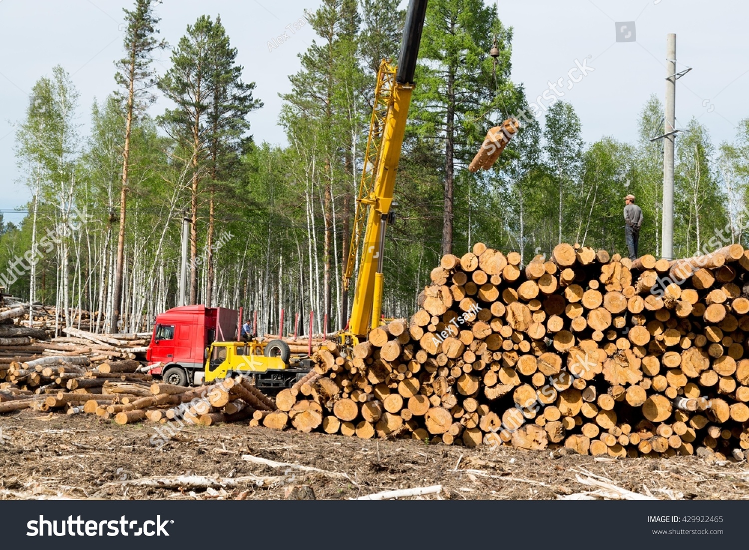 Timber Loading Stock Photo 429922465 | Shutterstock
