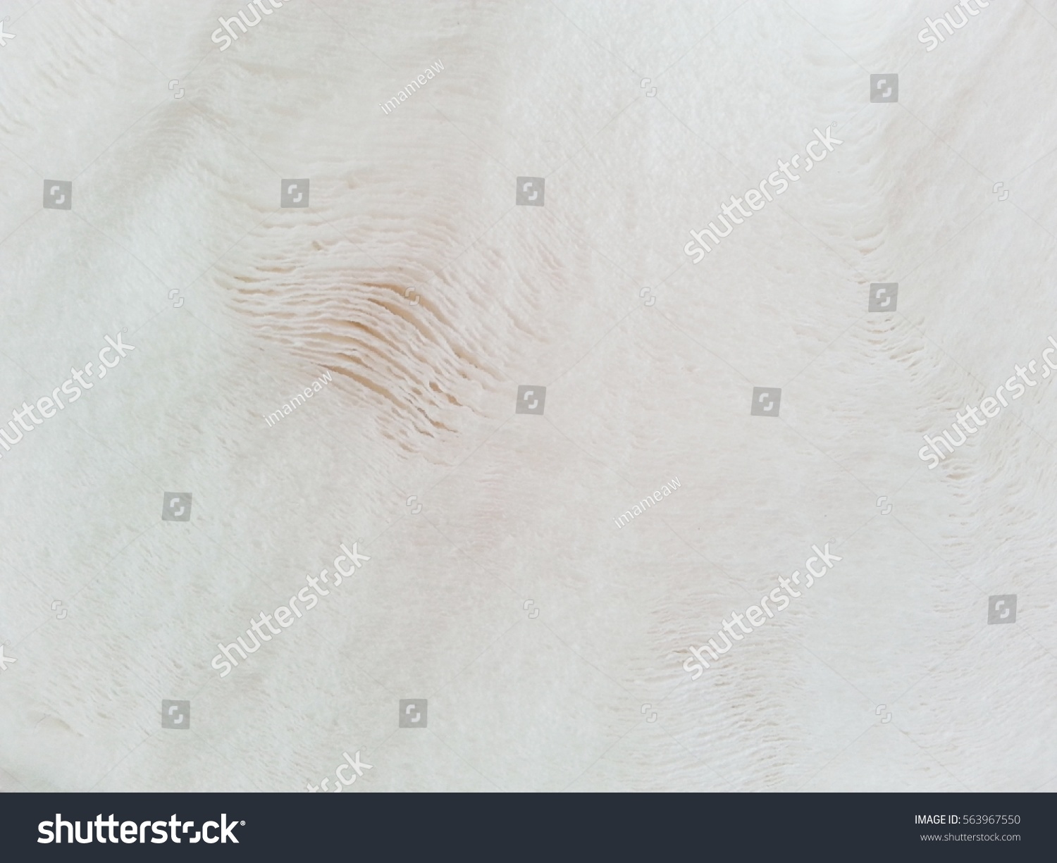 Tissues Texture Stock Photo 563967550 | Shutterstock