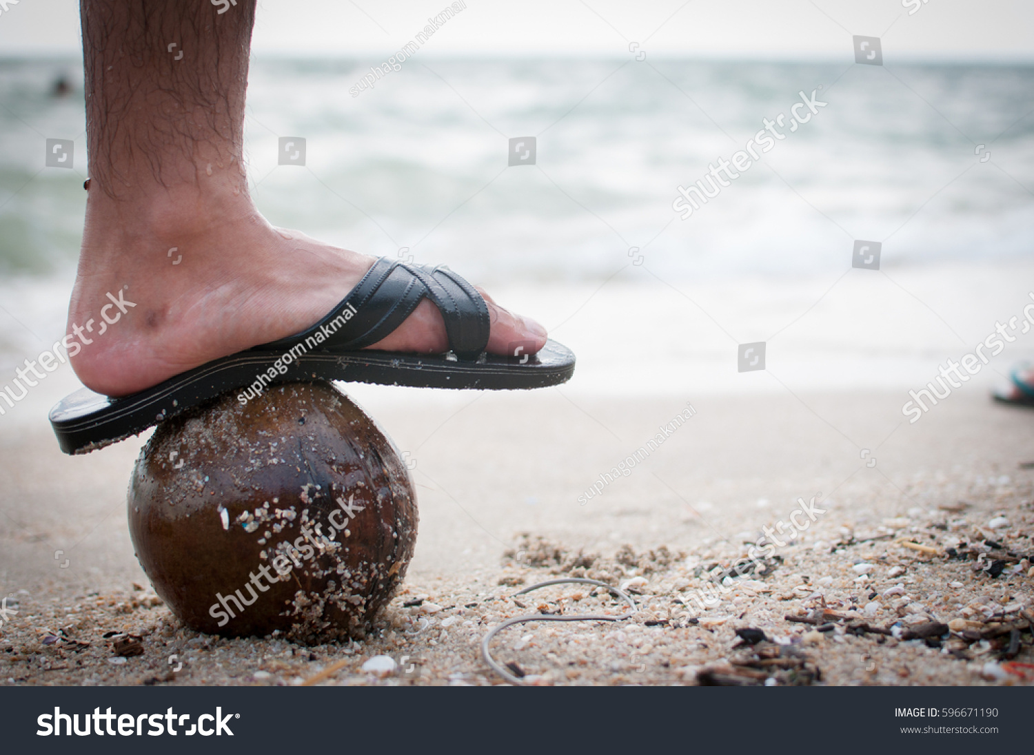 Trample Stock Photo 596671190 - Shutterstock