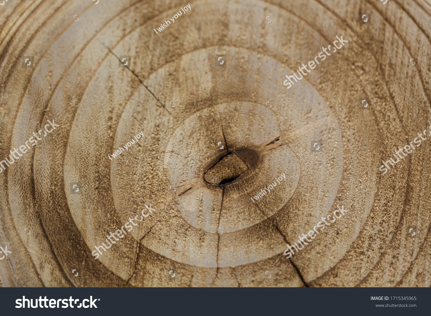 Tree Stump Top View Texture Stock Photo 1715345965 | Shutterstock
