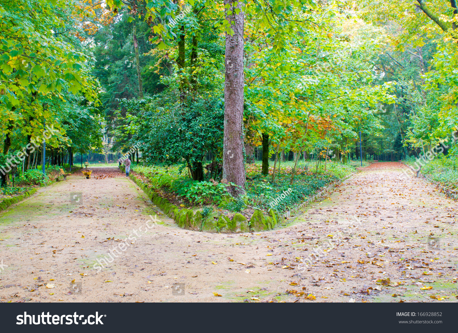 3,318 Garden two way Images, Stock Photos & Vectors | Shutterstock