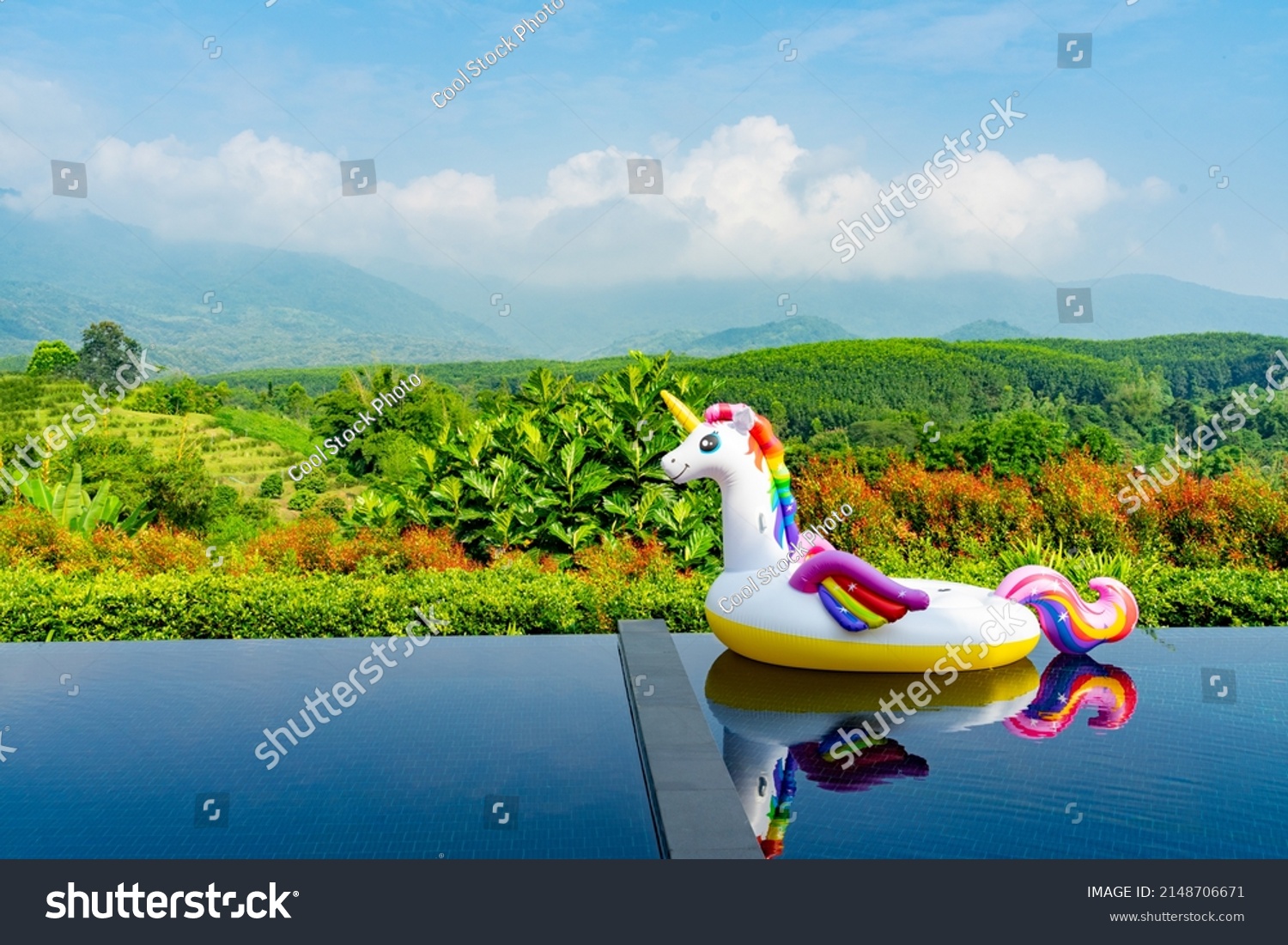 Unicorn Swim Tube On Swimming Pool Stock Photo 2148706671 | Shutterstock Unicorn Swim Tube On Swimming Pool Stock Photo 2148706671 | Shutterstock